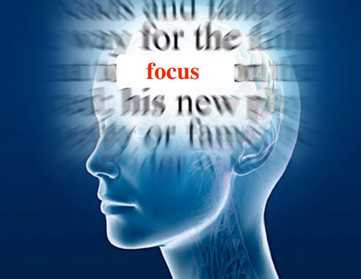 focus-of-the-brain - aquaquinta.com